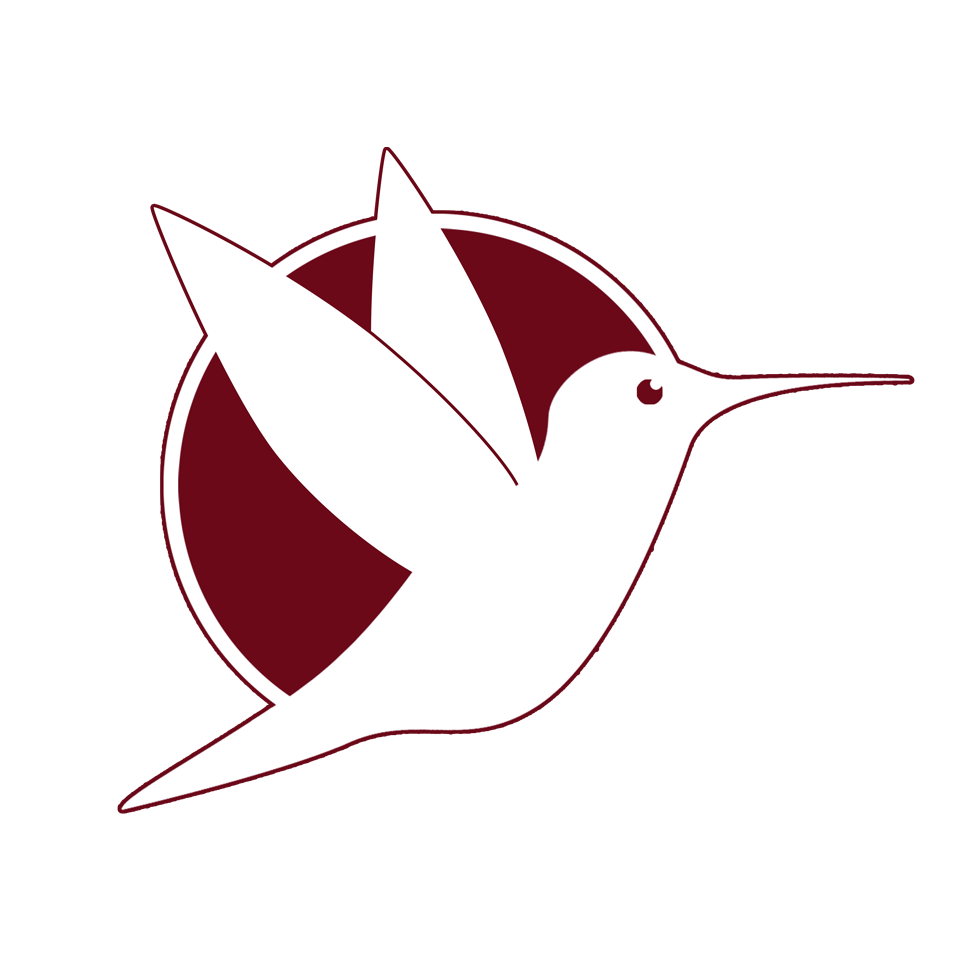 Shue Design - Agence de production photo & vidéo au Pays Basque